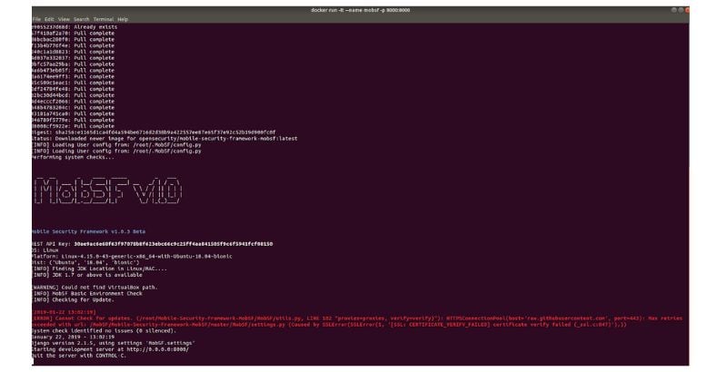 How to Extract an API Key from a Mobile App by Static Binary Analysis